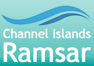 Channel Islands Ramsar Sites – Information and updates for Ramsar sites ...